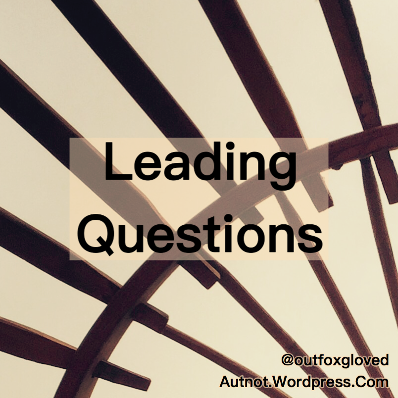 Leading Questions – Autism and Expectations