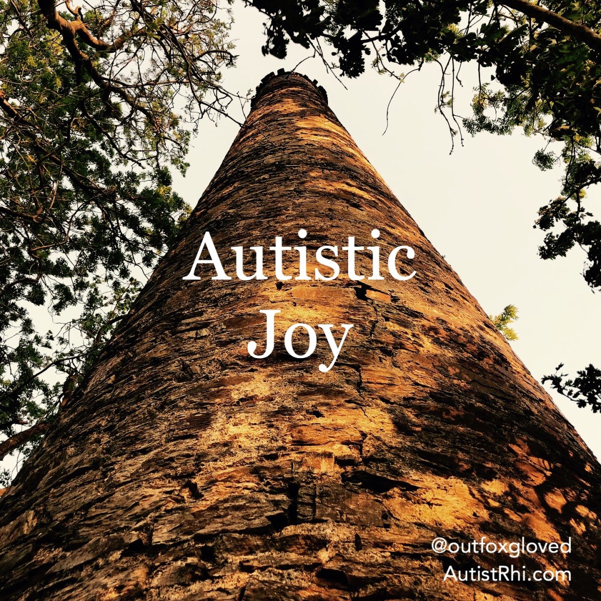 Autistic Joy – Autism and Expectations